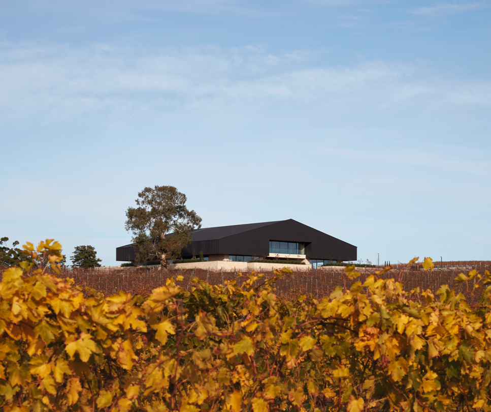 Five Vineyard - Ewert Leaf